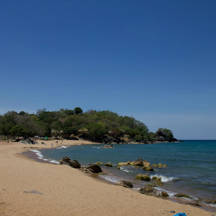 The Story – Spare Dog Records